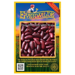 Red Kidney Bean Seeds for Planting - 30 Seeds - Easy to Grow, Very ...