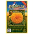 Everwilde Farms, 100 Dwarf Sungold Sunflower Seeds, Gold Vault Jumbo ...