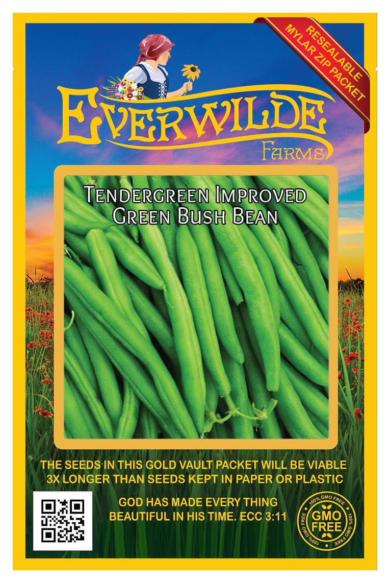 Everwilde Farms 100 Green Bush Bean Plant Seeds, Open Pollinated ...