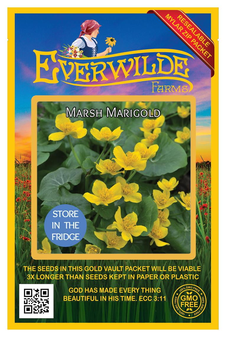Everwilde Farms Marsh Marigold Seeds, Native Wetland Wildflower ...