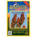Everwilde Farms - 100 Multi Colored Broom Ornamental Corn Seeds - Gold ...