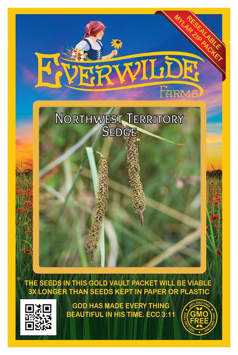 Everwilde Farms - 100 Northwest Territory Sedge Native Grass Seeds ...