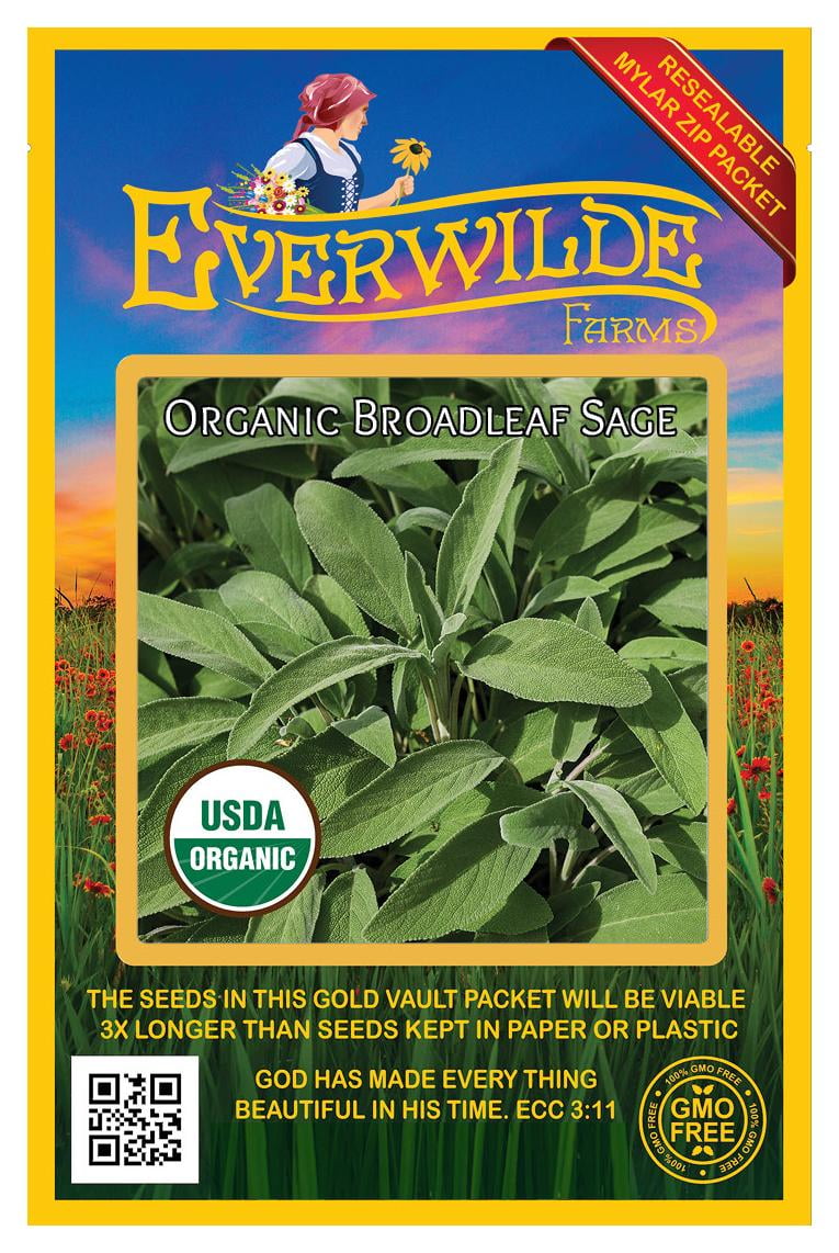 Everwilde Farms - 100 Organic Broadleaf Sage Herb Seeds for Garden ...