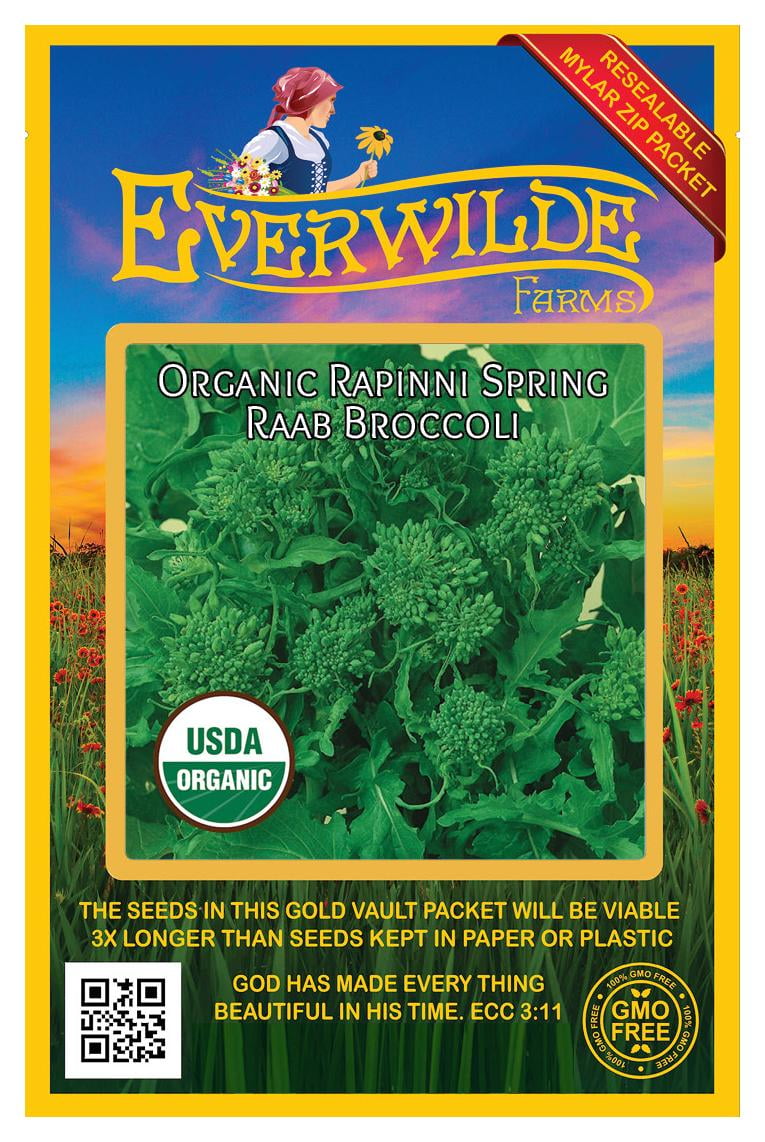 Everwilde Farms - 100 Organic Rapinni Spring Raab Broccoli Seeds - Gold ...