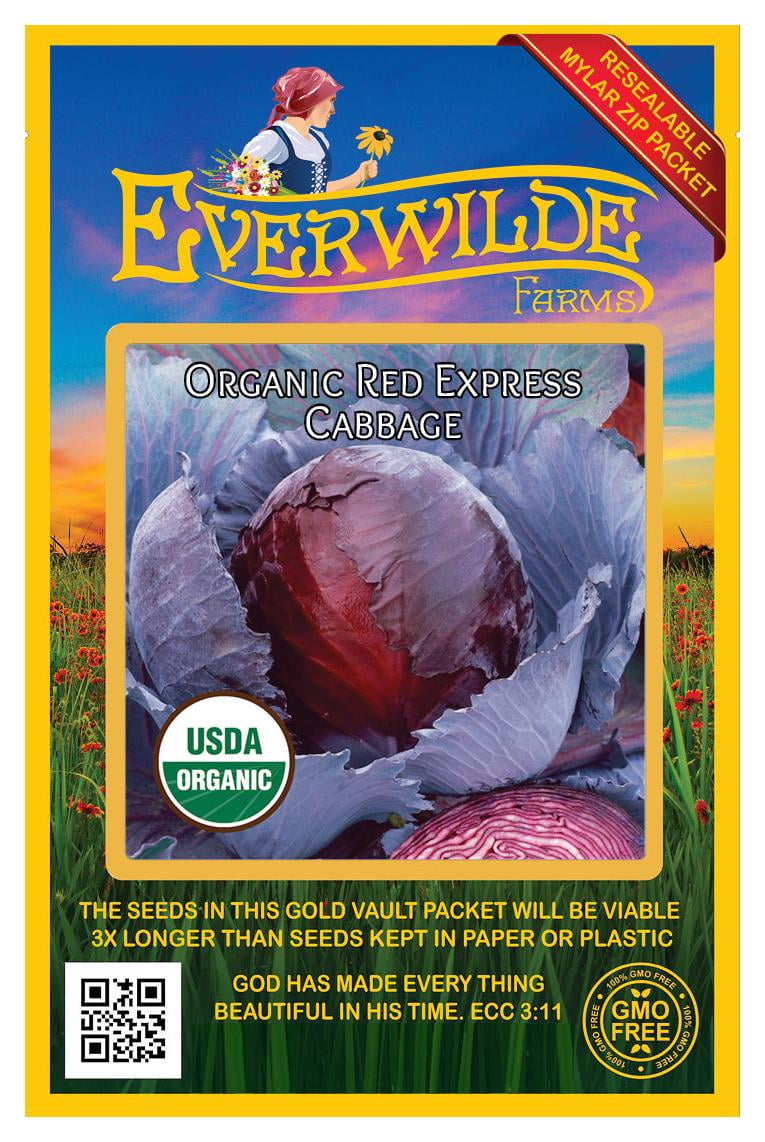 Everwilde Farms - 100 Organic Red Express Cabbage Seeds - Gold Vault ...