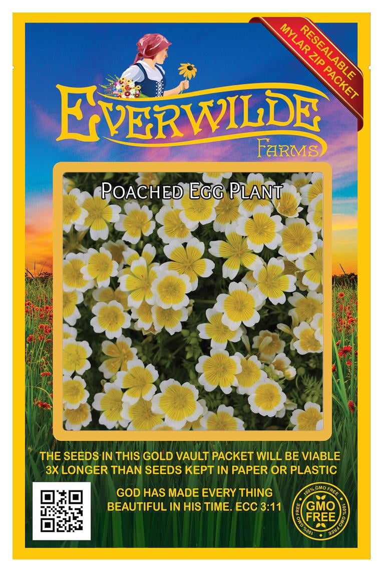 Everwilde Farms - 100 Poached Egg Plant Native Wildflower Seeds - Gold ...