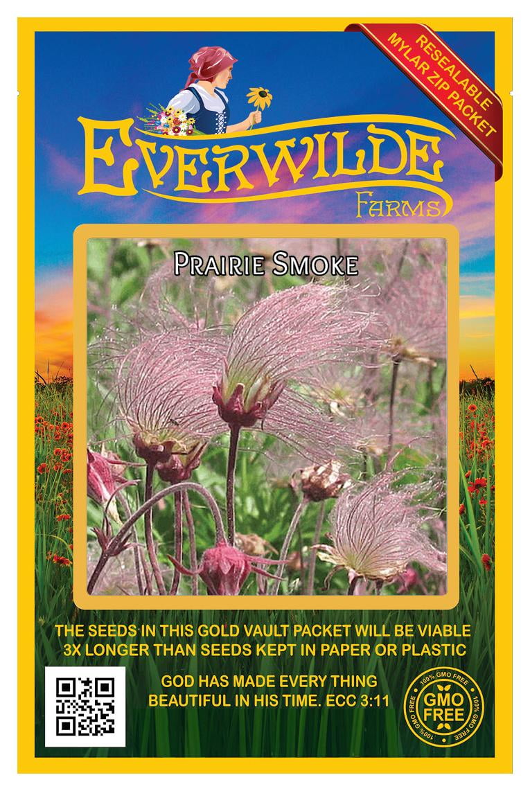 Everwilde Farms - 100 Prairie Smoke Native Wildflower Seeds - Gold ...