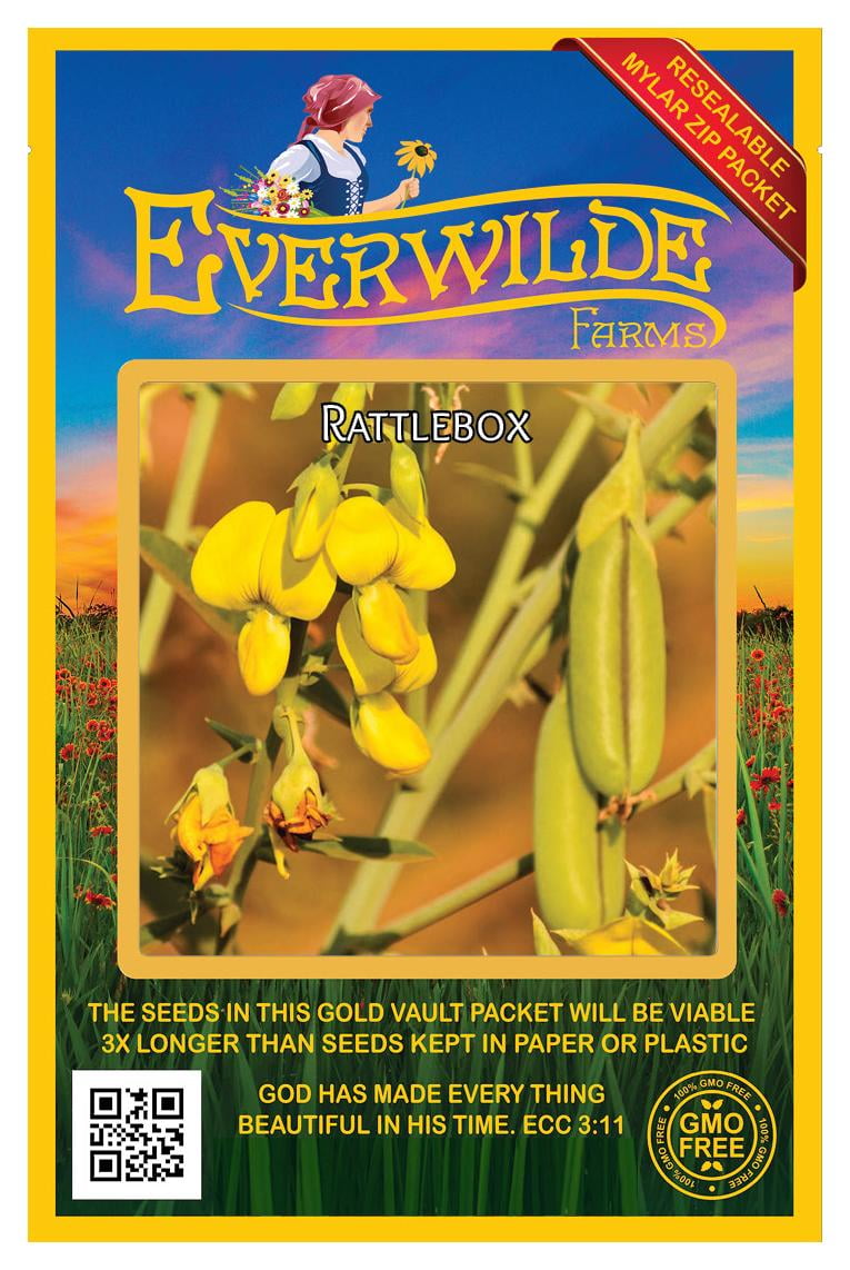 Everwilde Farms - 100 Rattlebox Native Wildflower Seeds - Gold Vault ...
