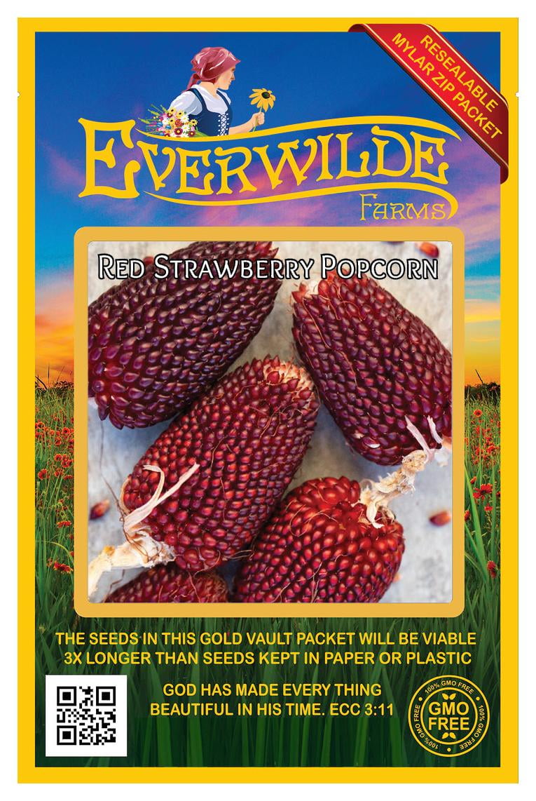 Everwilde Farms - 100 Red Strawberry Popcorn Seeds - Gold Vault Jumbo ...