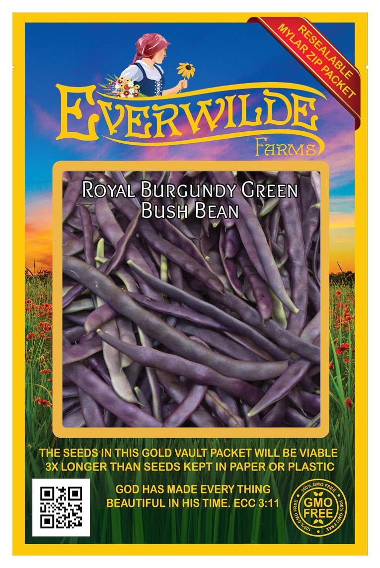 Everwilde Farms - 100 Royal Burgundy Green Bush Bean Seeds - Gold Vault ...
