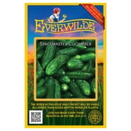 Burpee Trellis & Fence Garden Starter Garden Flower Seed Collection, 1 ...