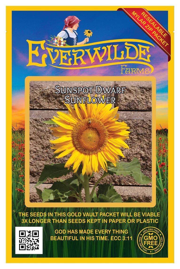 Everwilde Farms 100 Sunspot Dwarf Sunflower Flower Seeds, Resealable ...