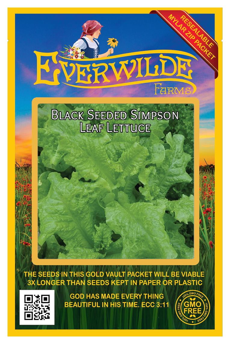 Everwilde Farms 1000 Black Seeded Simpson Leaf Lettuce Plant Seeds ...