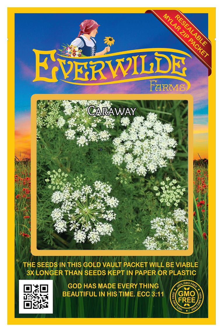 Everwilde Farms - 1000 Caraway Herb Seeds - Gold Vault Jumbo Bulk Seed ...