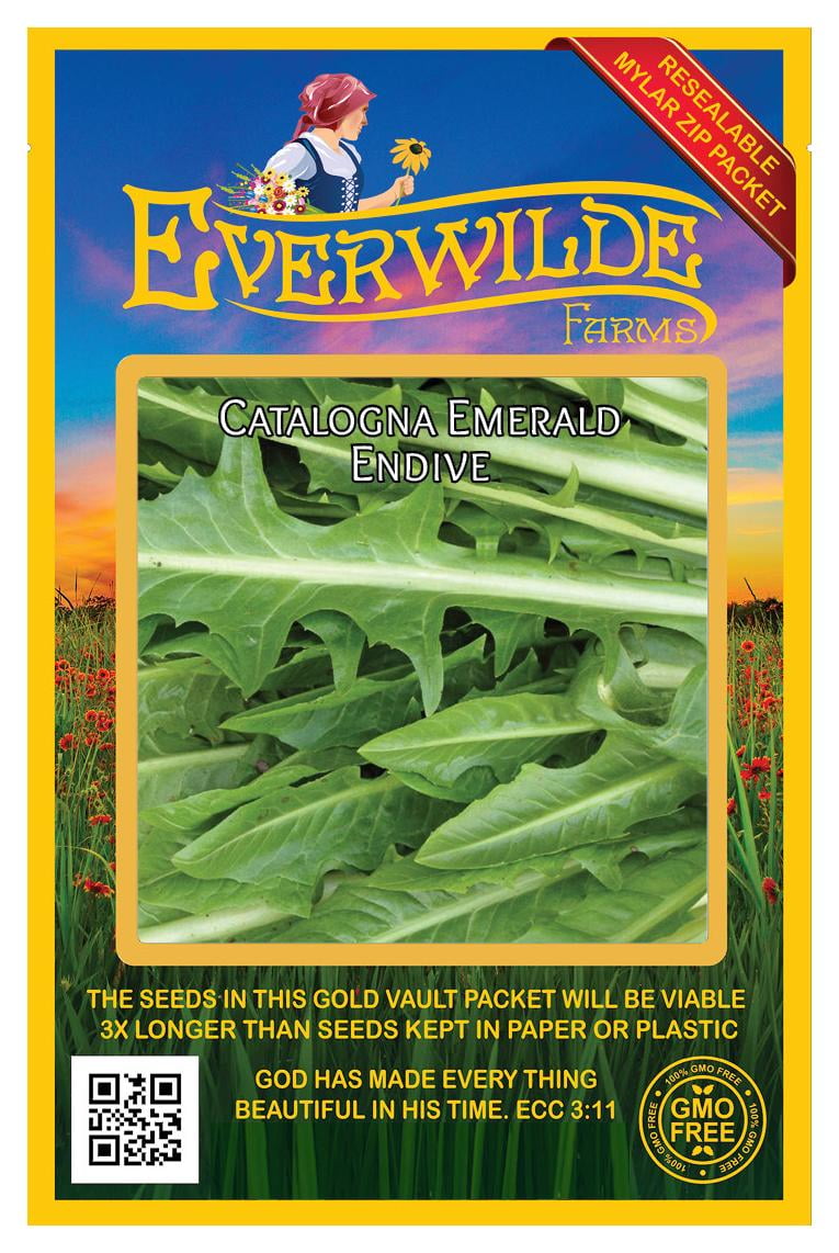 Everwilde Farms - 1000 Catalogna Emerald Endive Seeds - Gold Vault ...