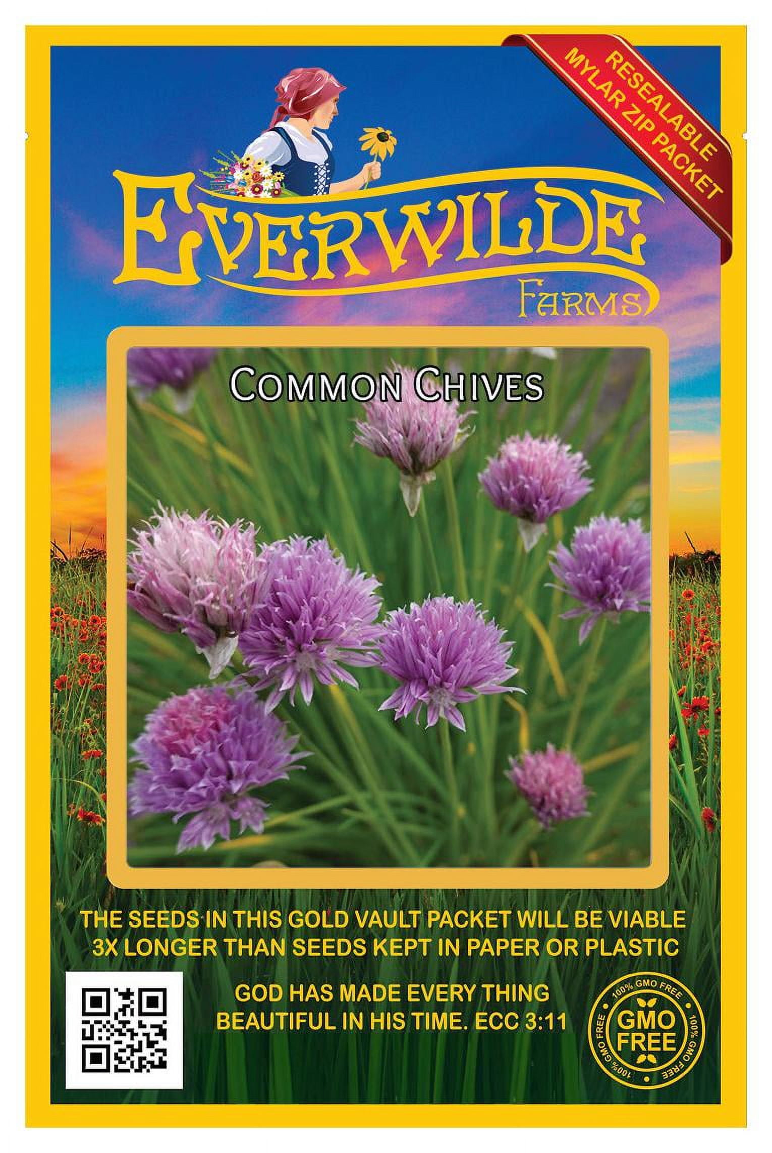 Everwilde Farms - 1000 Common Chives Herb Seeds - Gold Vault Jumbo Bulk ...