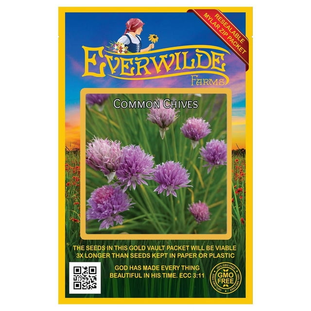 Everwilde Farms - 1000 Common Chives Herb Seeds - Gold Vault Jumbo Bulk ...