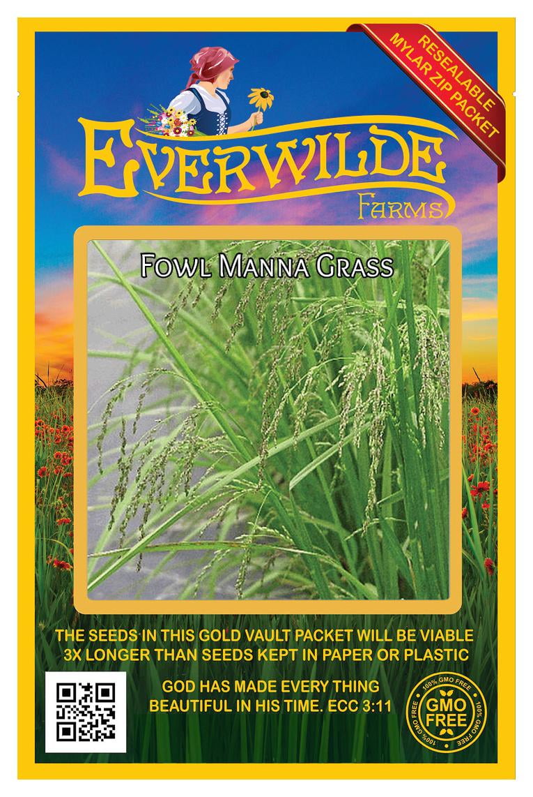 Everwilde Farms - 1000 Fowl Manna Grass Native Grass Seeds - Gold Vault ...