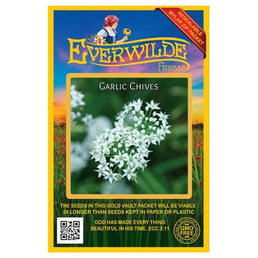 Everwilde Farms - 1000 Common Chives Herb Seeds - Gold Vault Jumbo Bulk ...