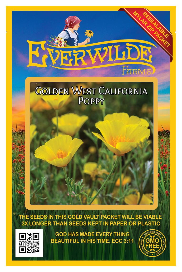 Everwilde Farms - 1000 Golden West California Poppy Garden Flower Seeds ...