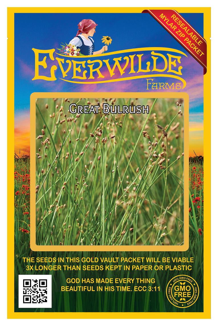 Everwilde Farms - 1000 Great Bulrush Native Grass Seeds - Gold Vault ...