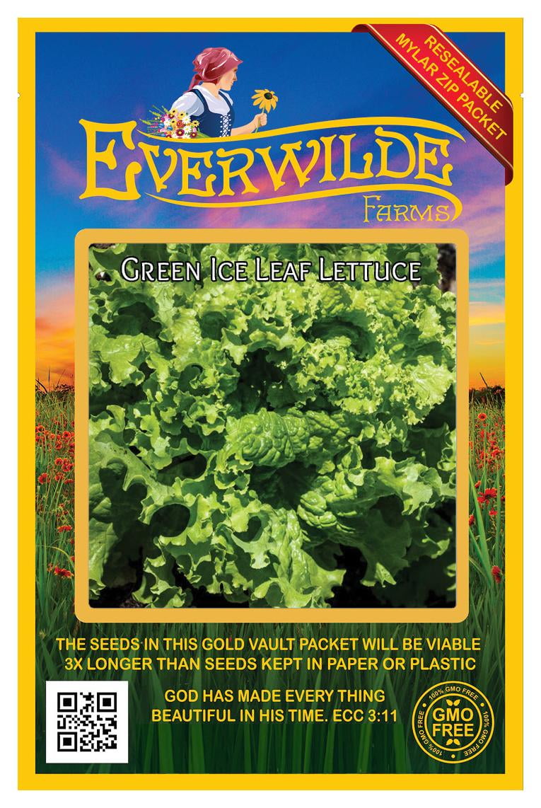 Everwilde Farms - 1000 Green Ice Leaf Lettuce Seeds - Gold Vault Jumbo ...