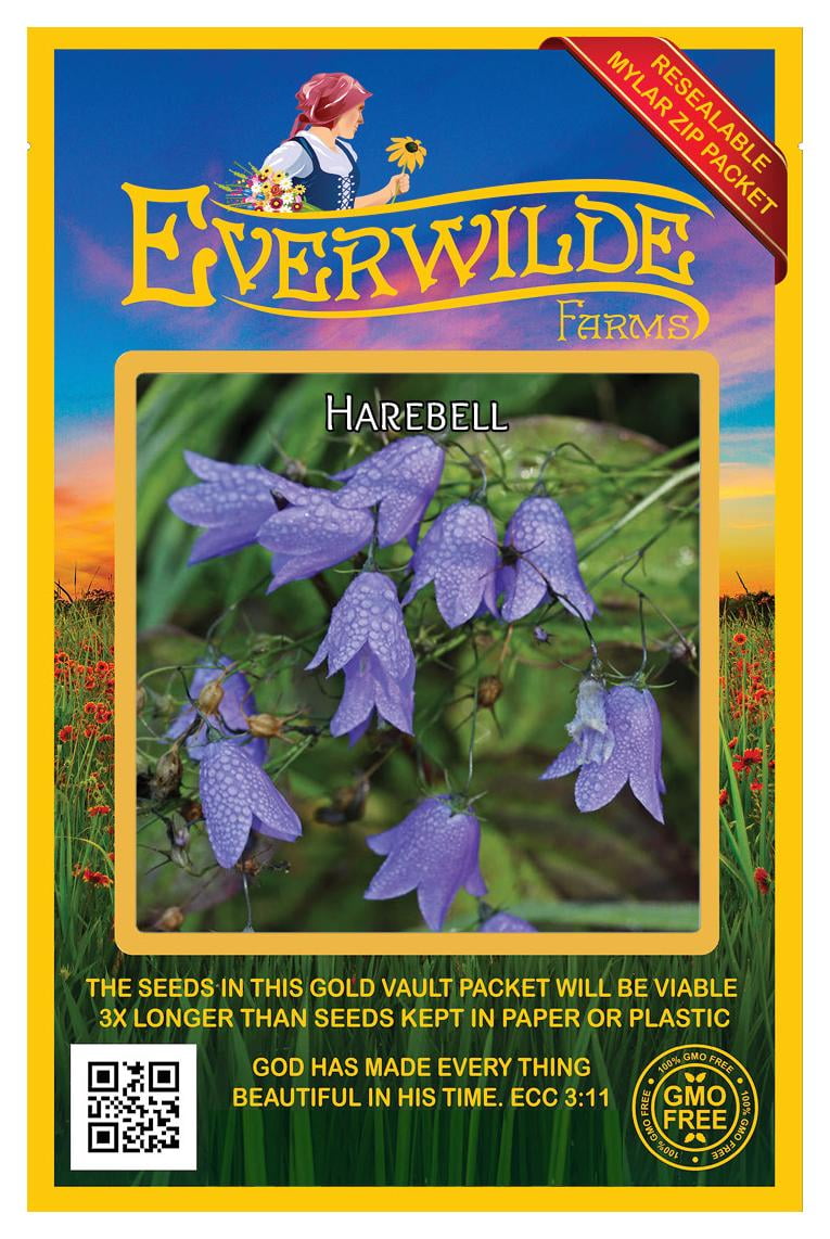 Everwilde Farms - 1000 Harebell Native Wildflower Seeds - Gold Vault ...