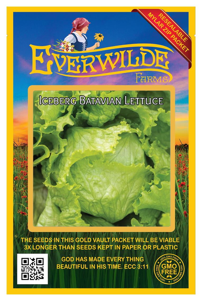 Everwilde Farms - 1000 Iceberg Batavian Lettuce Seeds - Gold Vault ...