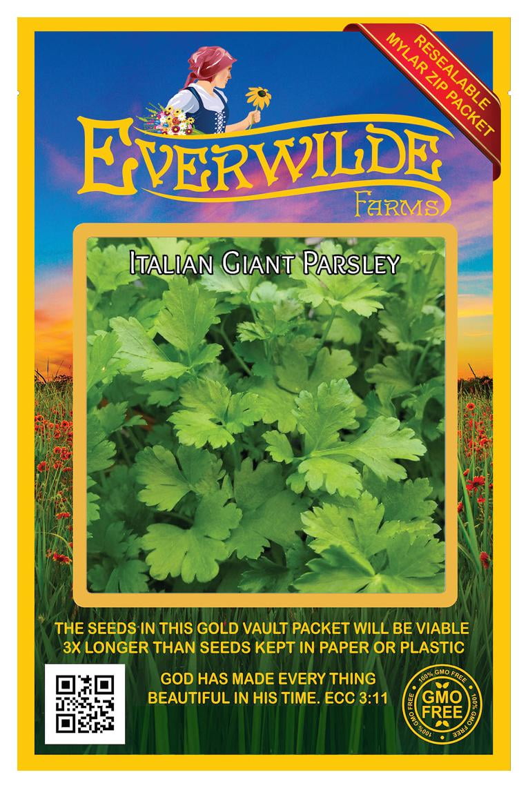 Everwilde Farms 1000 Italian Giant Parsley Seeds Plant Seeds, Open ...