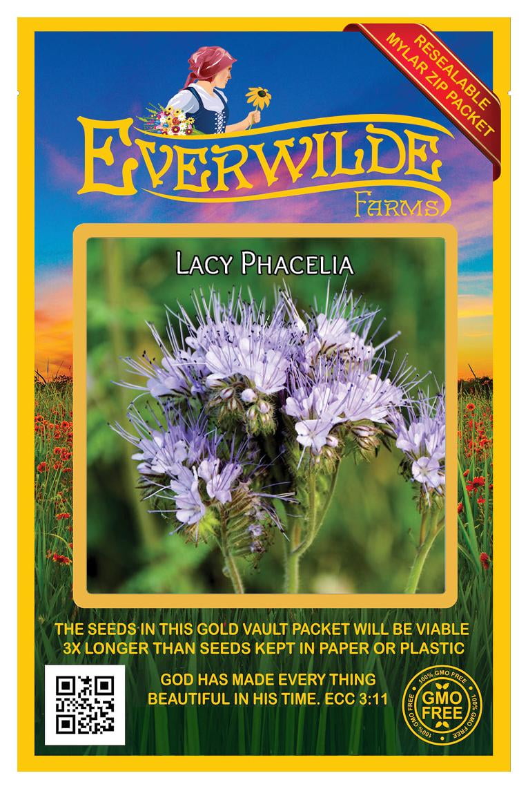 Everwilde Farms 1000 Lacy Phacelia Wildflower Seeds, Attracts ...