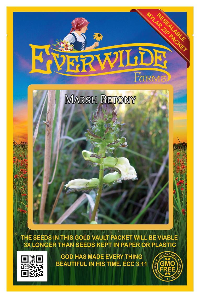 Everwilde Farms - 1000 Marsh Betony Native Wildflower Seeds - Gold ...