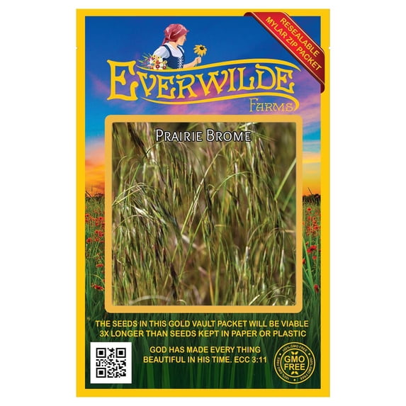 Everwilde Farms - 1000 Prairie Brome Native Grass Seeds - Gold Vault ...
