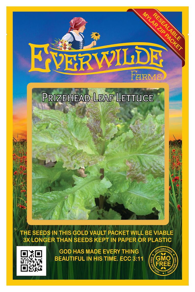 Everwilde Farms - 1000 Prizehead Leaf Lettuce Seeds - Gold Vault Jumbo ...