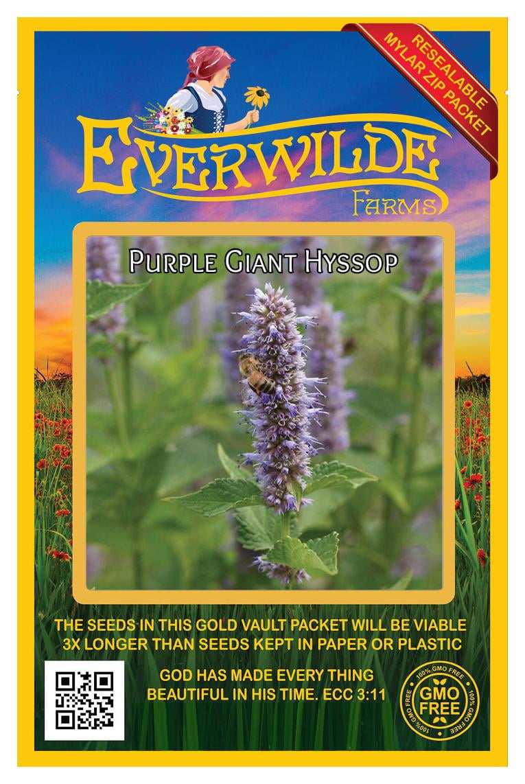 Everwilde Farms - 1000 Purple Giant Hyssop Native Wildflower Seeds ...