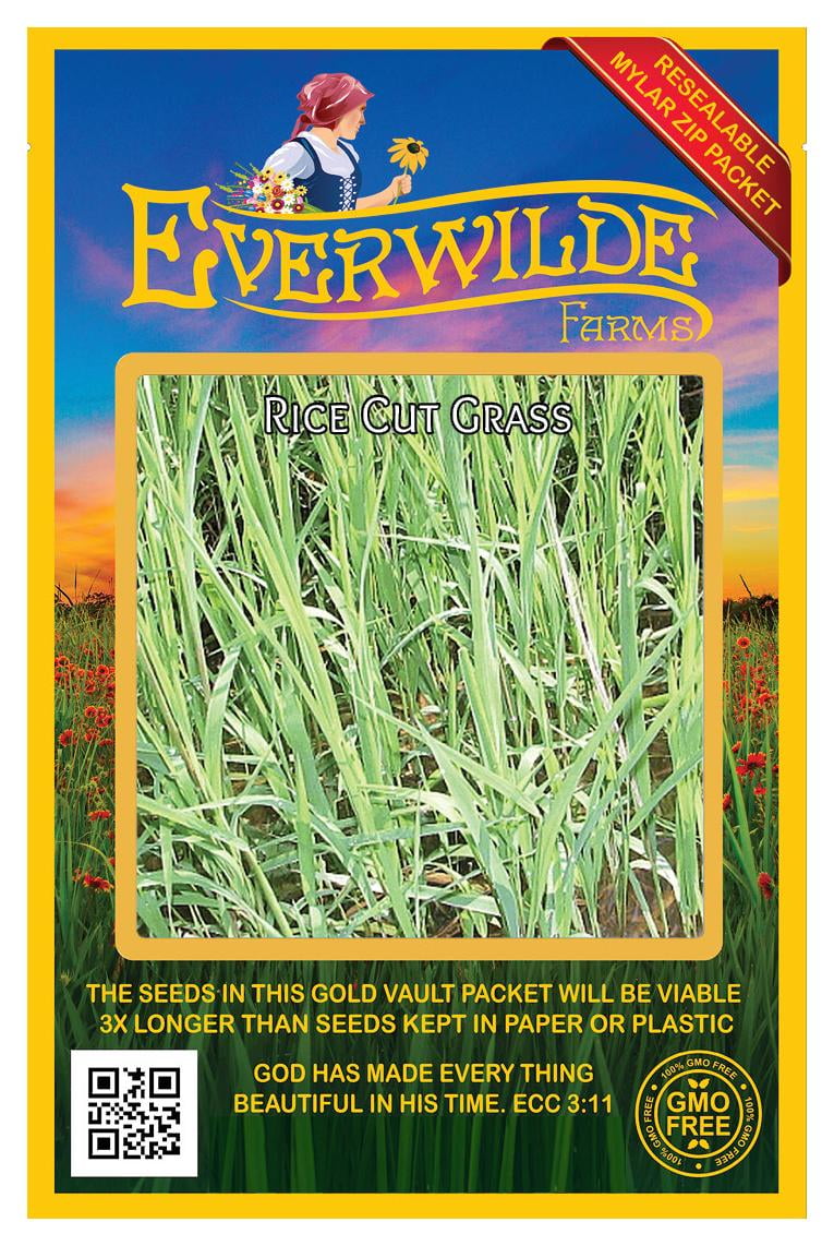 Everwilde Farms - 1000 Rice Cut Grass Native Grass Seeds - Gold Vault ...