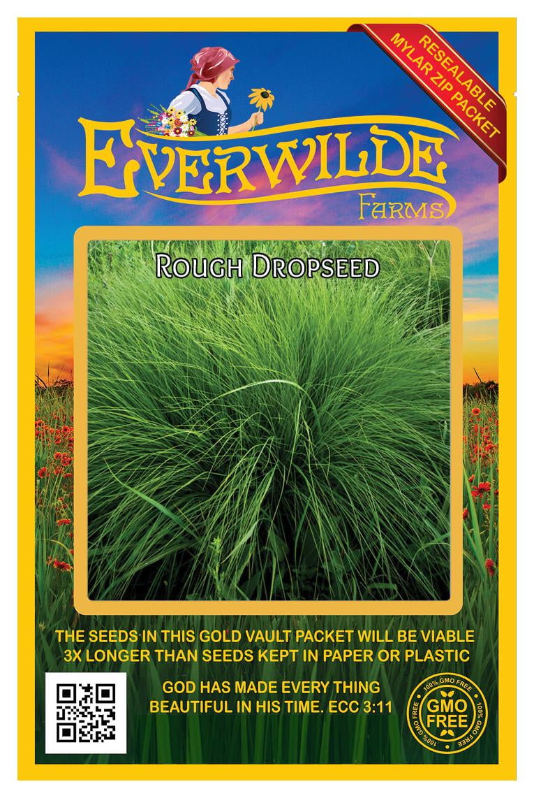Everwilde Farms - 1000 Rough Dropseed Native Grass Seeds - Gold Vault ...
