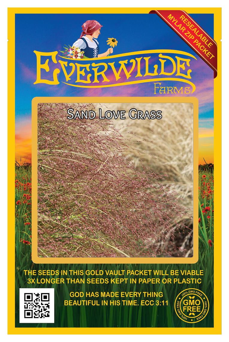 Everwilde Farms - 1000 Sand Love Grass Native Grass Seeds - Gold Vault ...