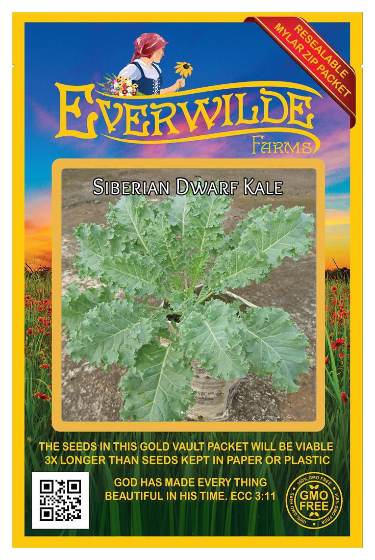 Everwilde Farms - 1000 Siberian Dwarf Kale Seeds - Gold Vault Jumbo ...