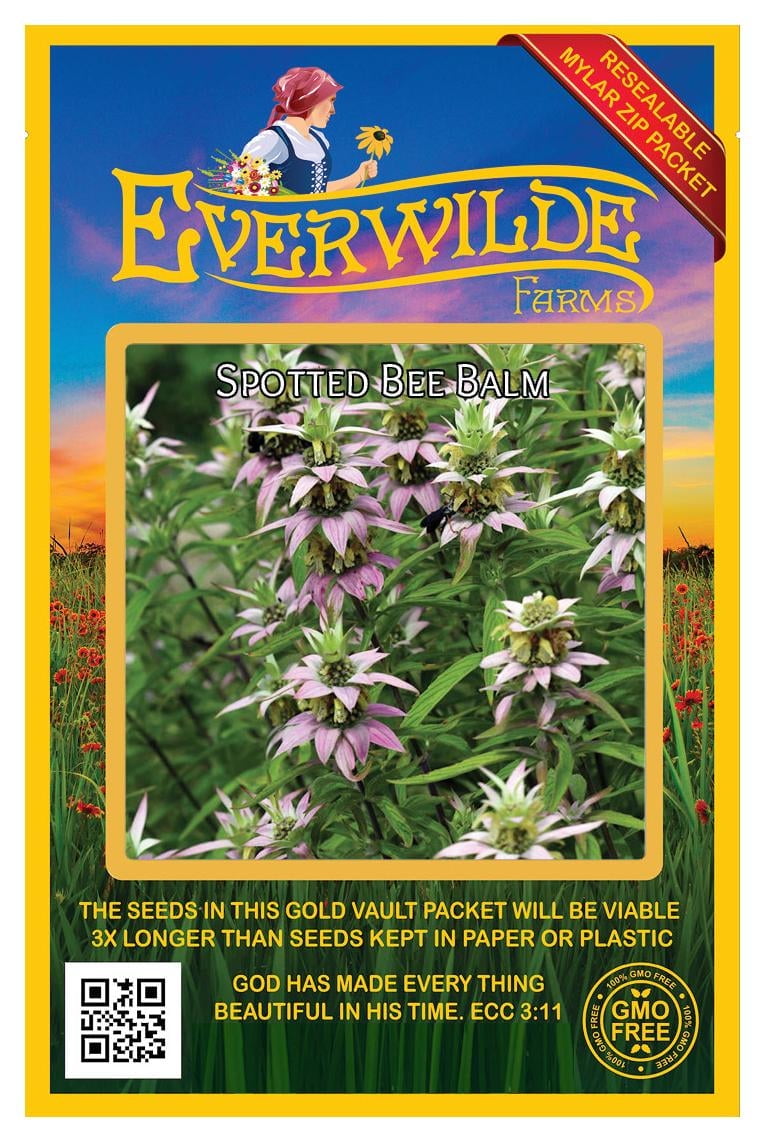 Everwilde Farms - Spotted Bee Balm - 1000 Native Wildflower Seeds ...