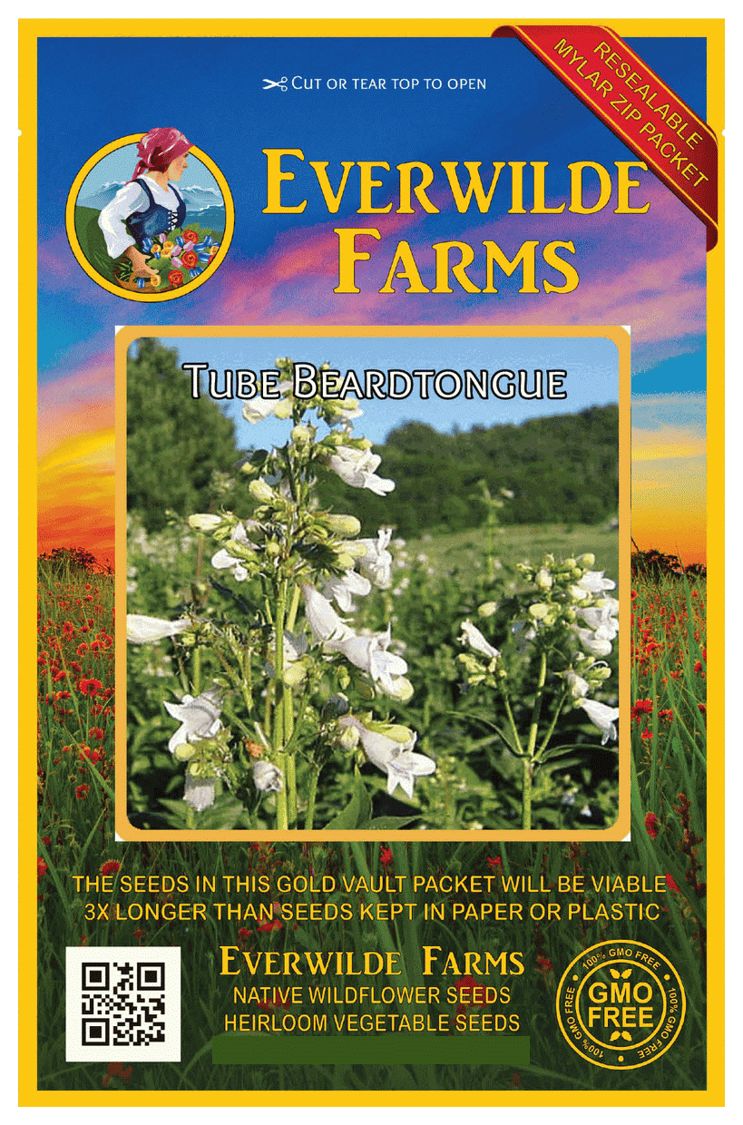 Everwilde Farms - 1000 Tube Beardtongue Native Wildflower Seeds - Gold ...