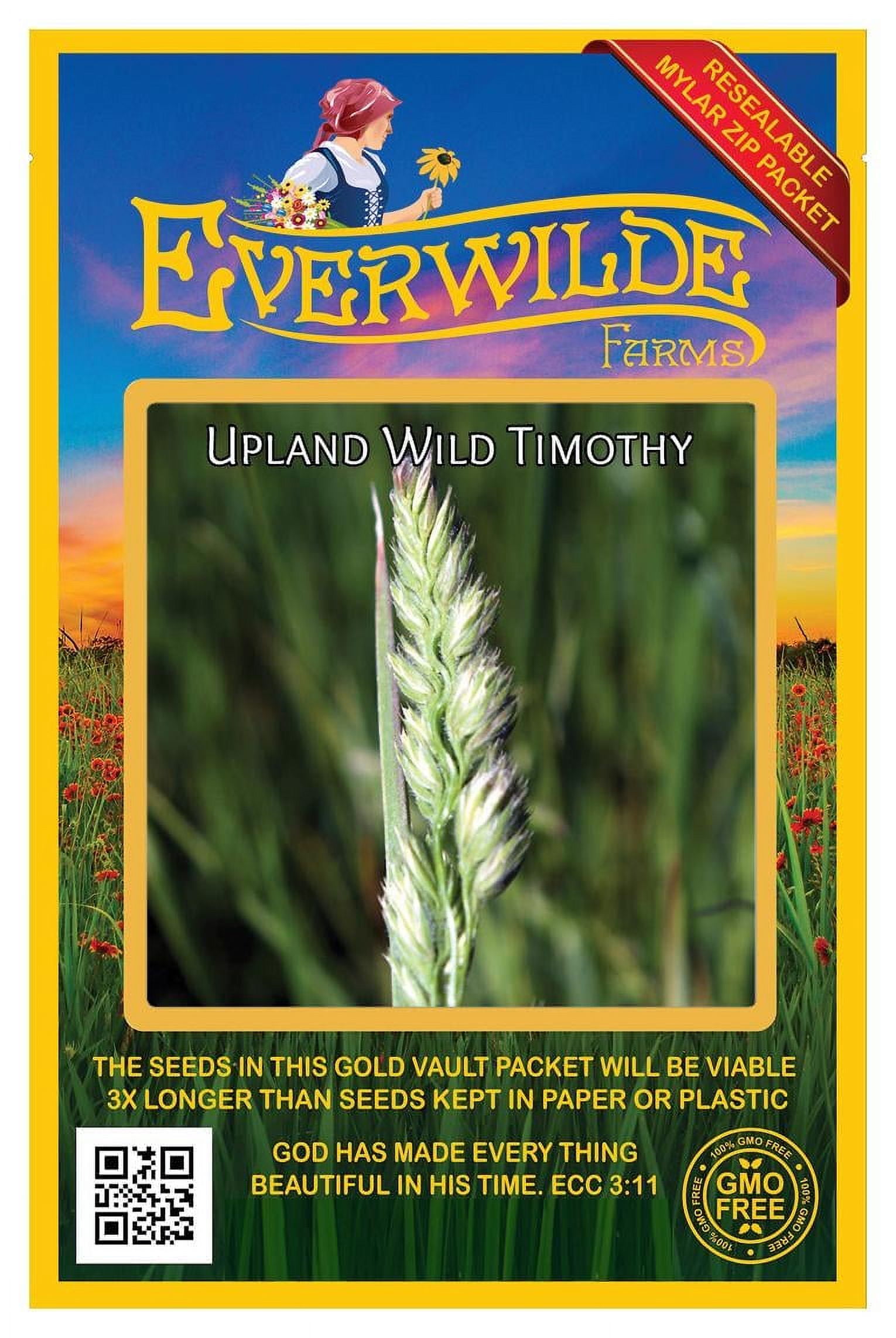 Everwilde Farms - American Garden Planting, 1000 Upland Wild Timothy ...