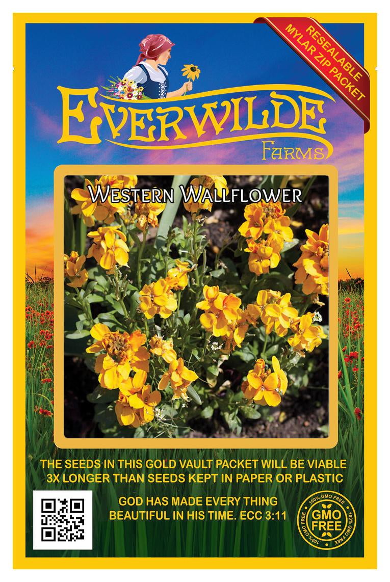 Everwilde Farms - 1000 Western WallFlower Native Wildflower Seeds ...