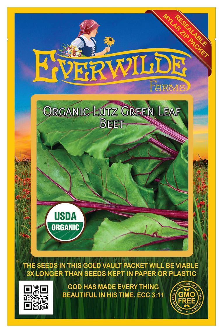 Everwilde Farms - 125 Organic Lutz Green Leaf Beet Seeds - Gold Vault ...