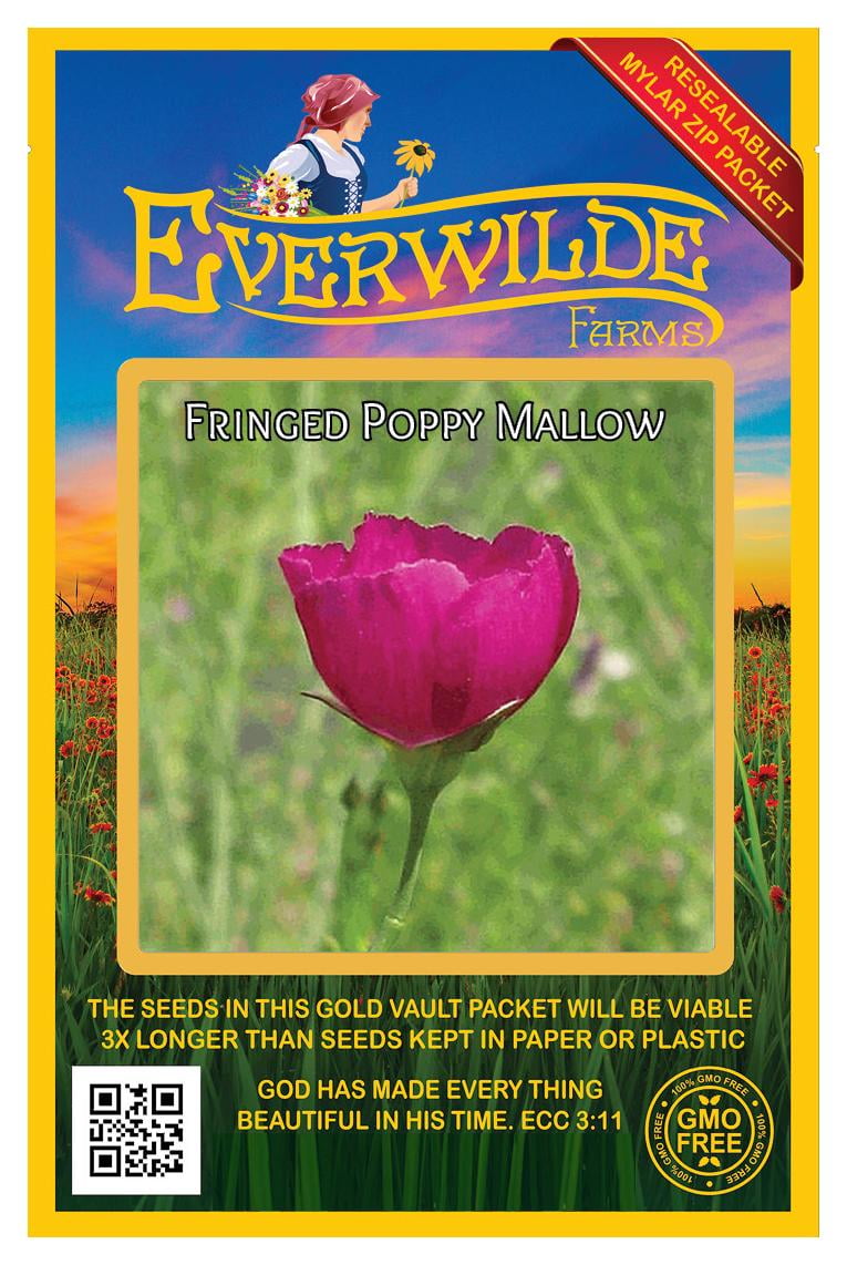 Everwilde Farms - 15 Fringed Poppy Mallow Native Wildflower Seeds ...