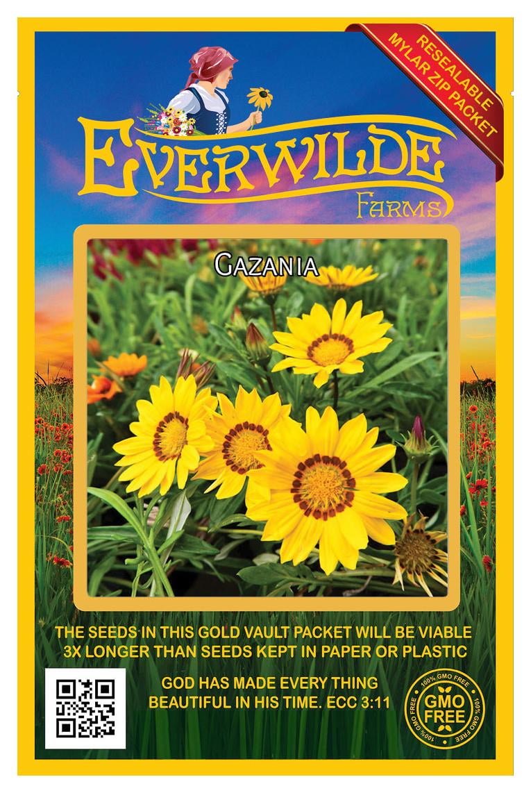 Everwilde Farms - 15 Gazania Garden Flower Seeds - Gold Vault Jumbo ...