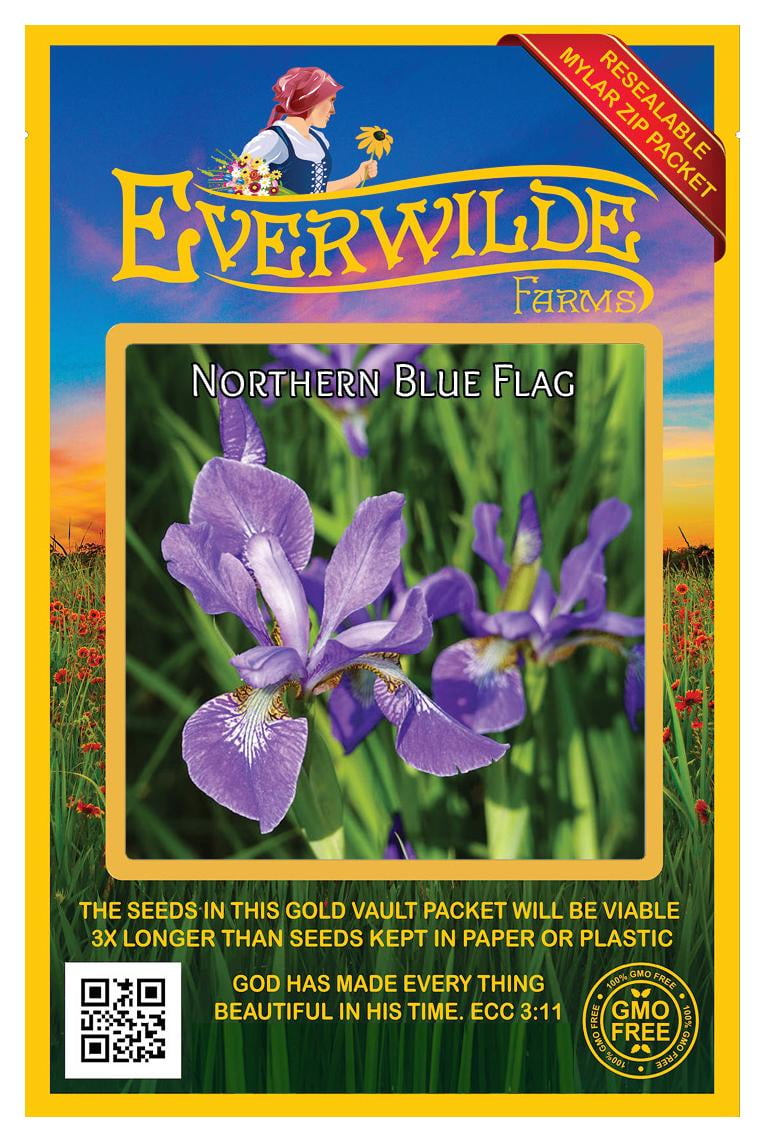 Everwilde Farms - 15 Northern Blue Flag Native Wildflower Seeds - Gold ...