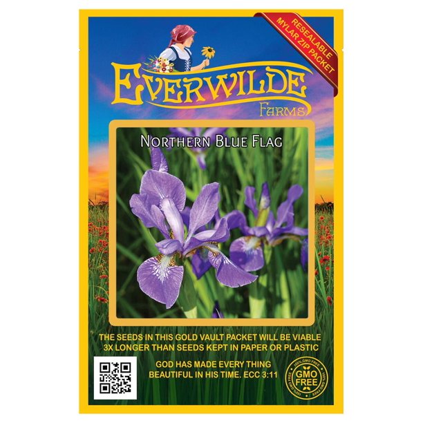 Everwilde Farms - 15 Northern Blue Flag Native Wildflower Seeds - Gold ...