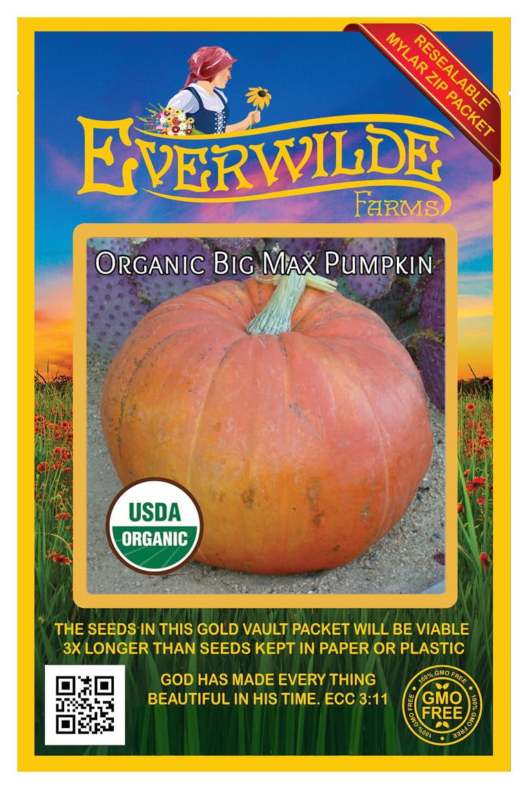 Everwilde Farms - 15 Organic Big Max Pumpkin Seeds - Gold Vault Jumbo ...