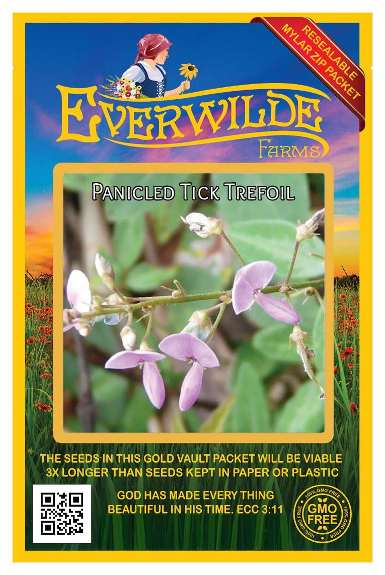 Everwilde Farms - 15 Panicled Tick Trefol Native Wildflower Seeds ...