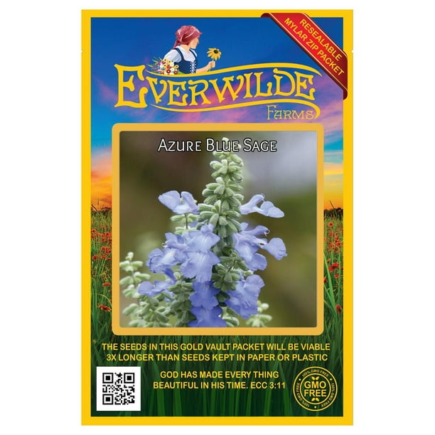 Everwilde Farms - 150 Azure Blue Sage Native Wildflower Seeds - Gold ...